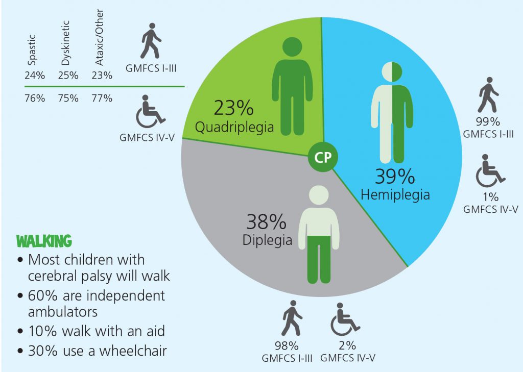 Will My Child Walk Are We Doing The Right Therapy KAREN PAPE MD